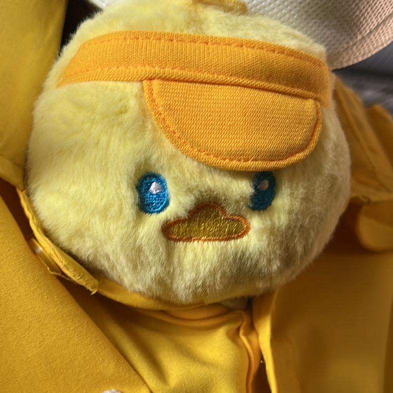 โพสต์ ของ 26 aug|Lemon8