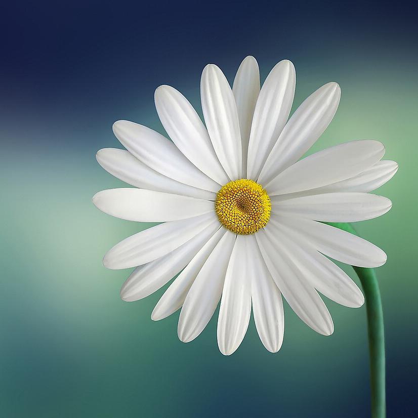 โพสต์ ของ Luck888|Lemon8