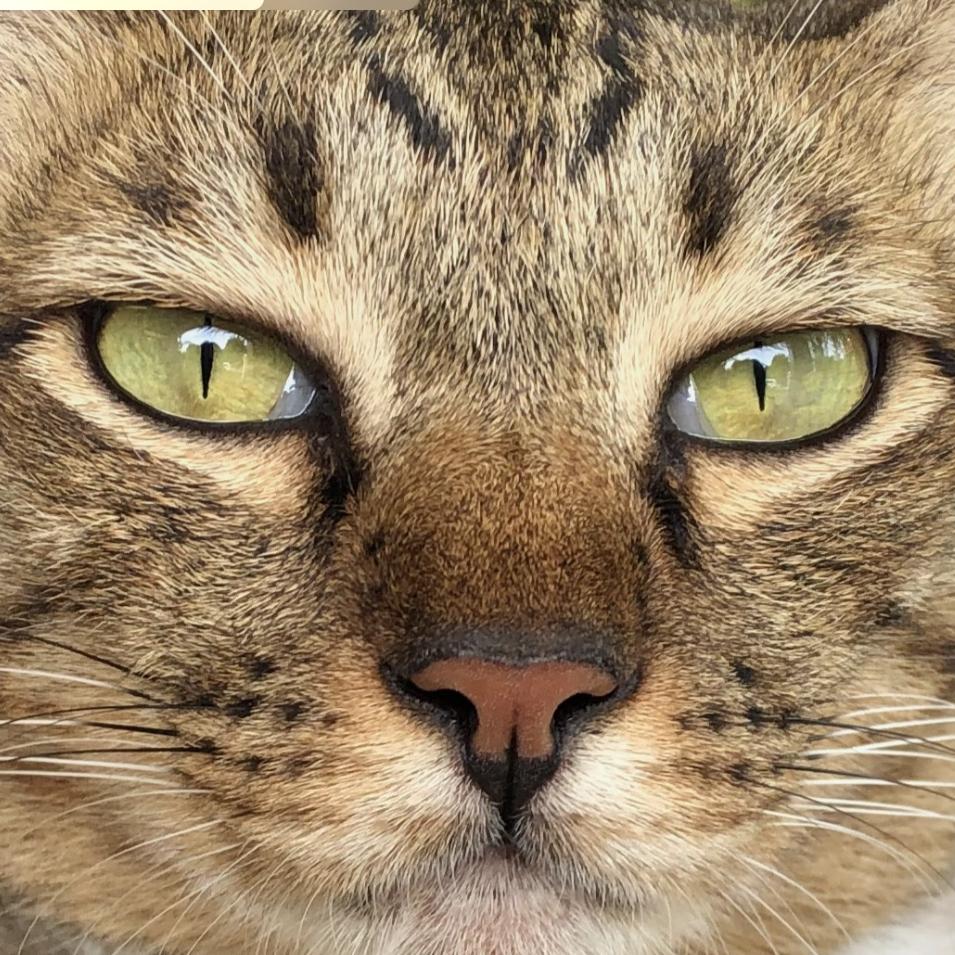 โพสต์ ของ iammai|Lemon8