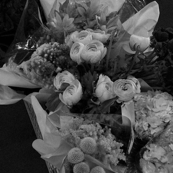 Siarkan Mawar Hitam|Lemon8