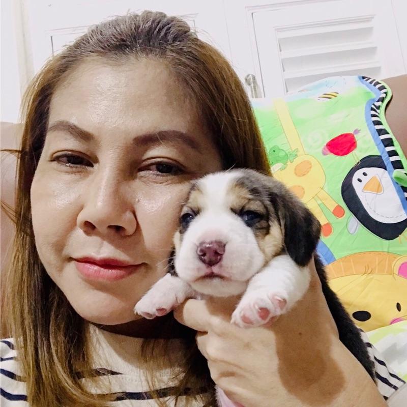 โพสต์ ของ Joy Frank 8080|Lemon8