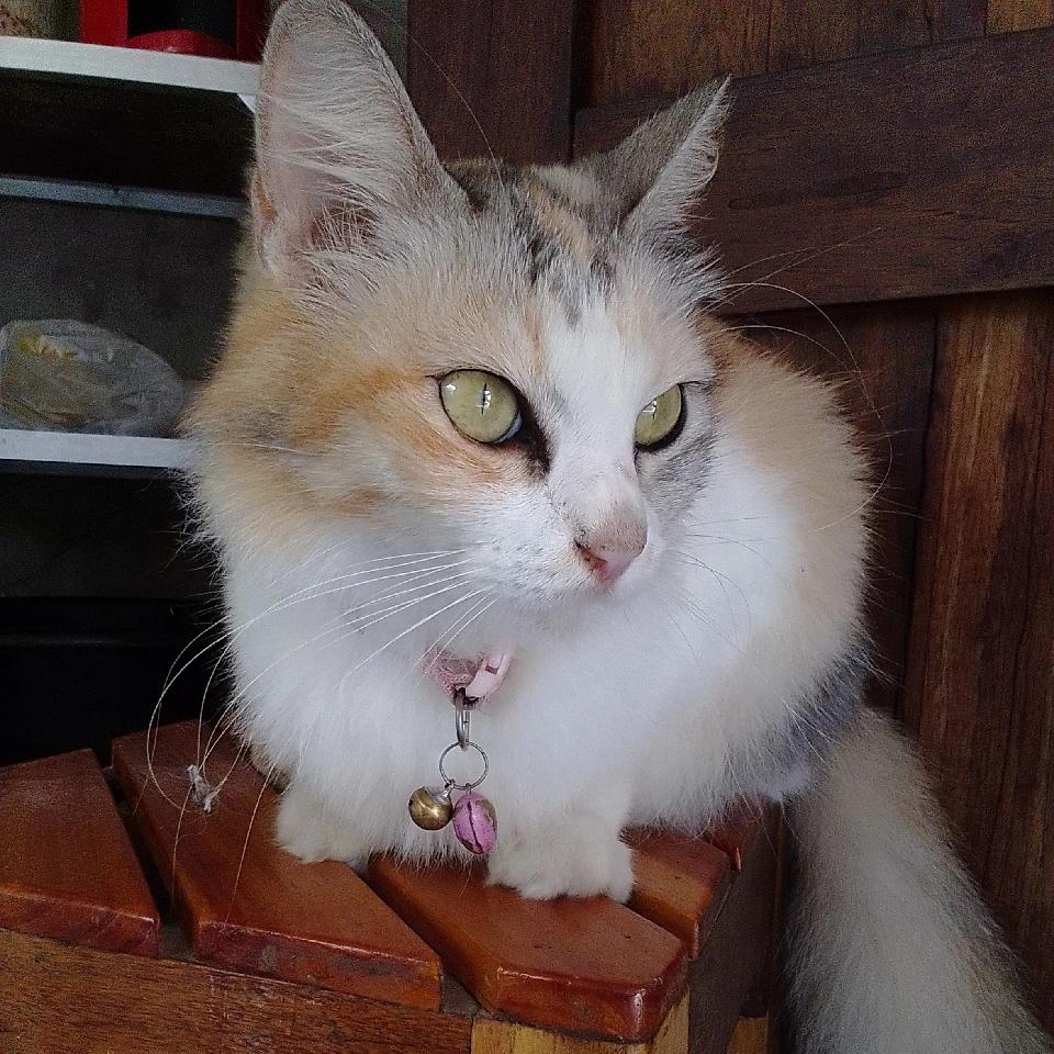 โพสต์ ของ Lucky|Lemon8