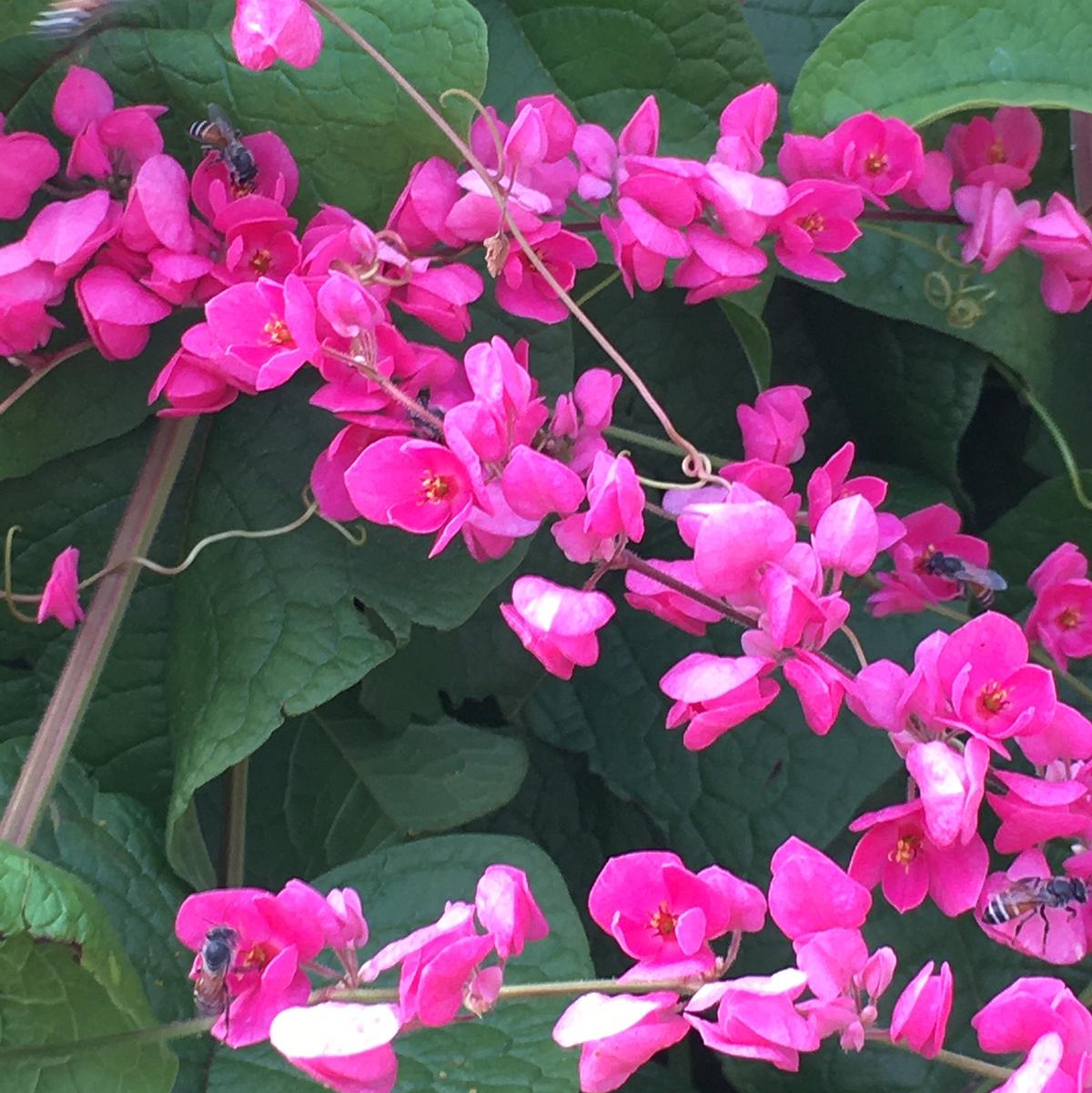 โพสต์ ของ Wan wan |Lemon8