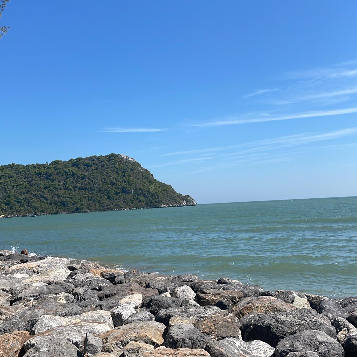 โพสต์ ของ pp|Lemon8