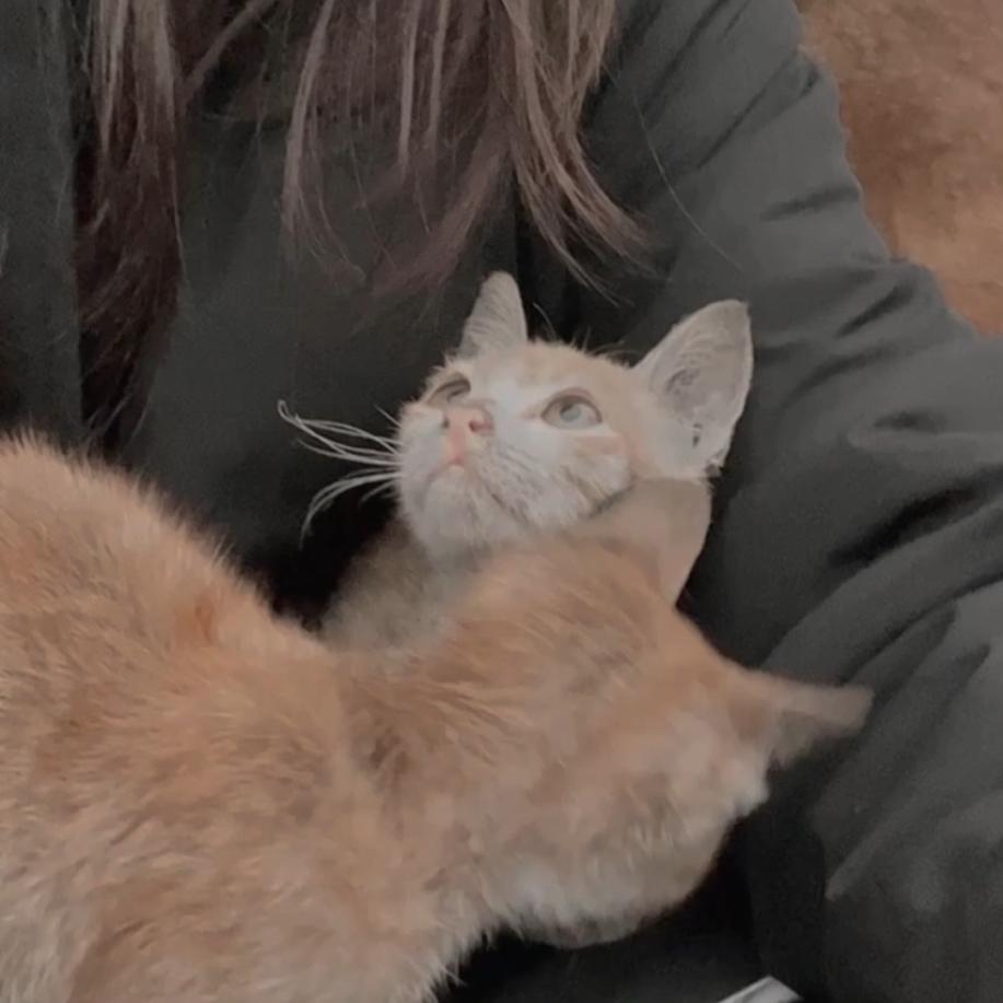 Đăng của Pha Pha|Lemon8