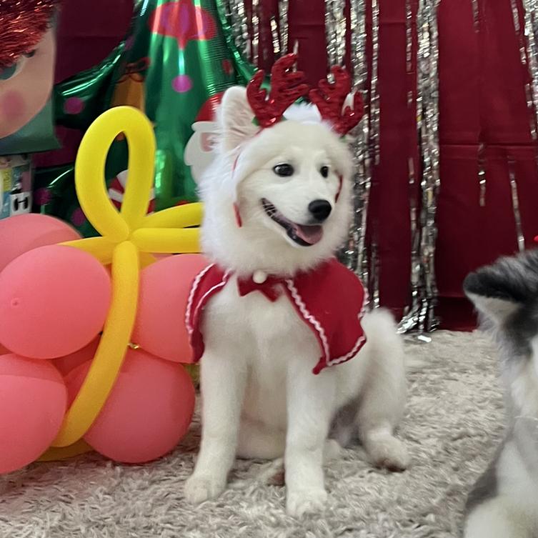 โพสต์ ของ Bobby&friends|Lemon8