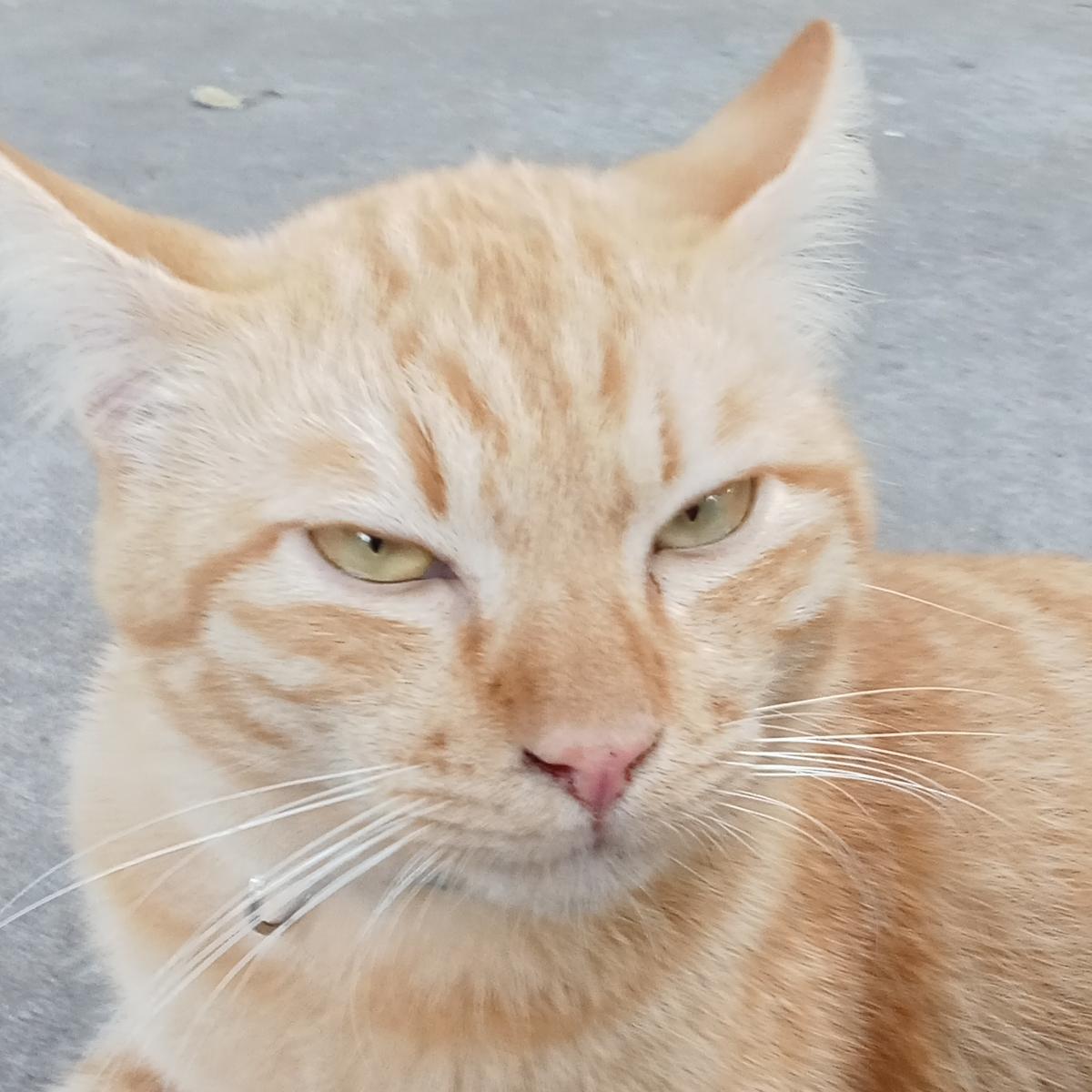 โพสต์ ของ mind|Lemon8