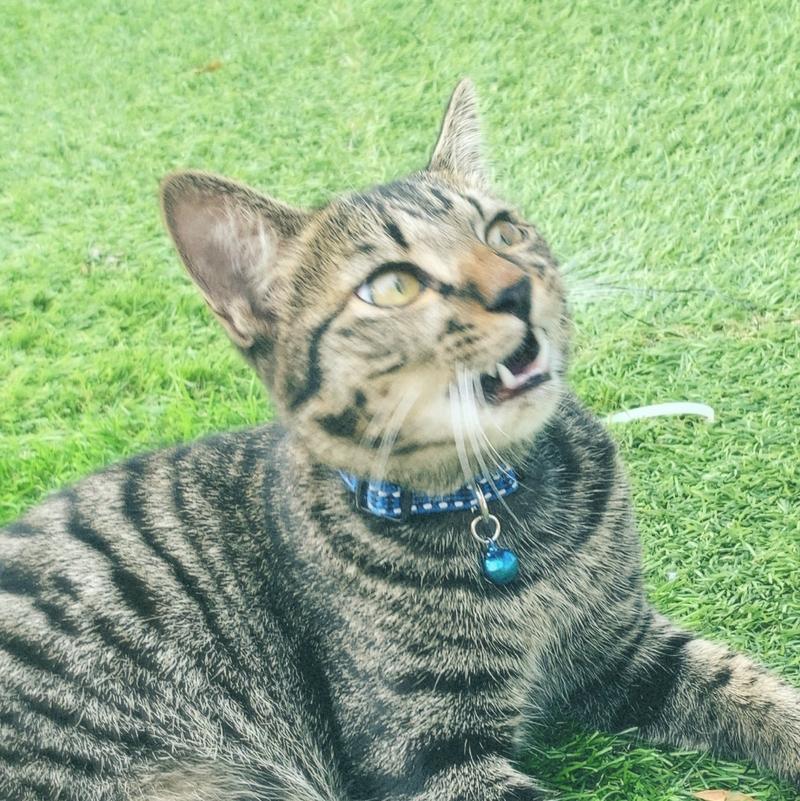 โพสต์ ของ ppppppppp|Lemon8