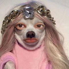 โพสต์ ของ ChiraNan ︎|Lemon8