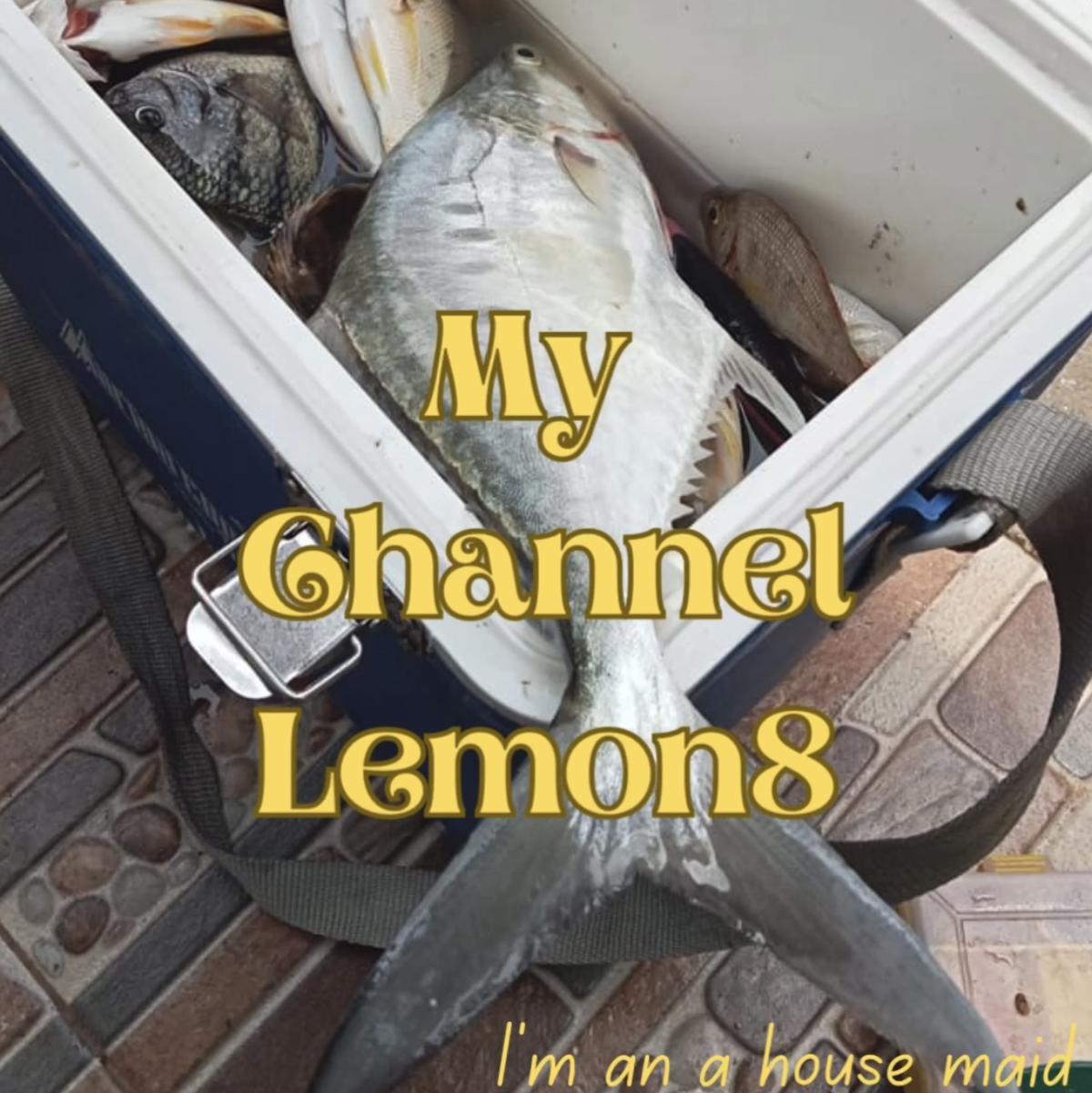 Posting YD_22|Lemon8