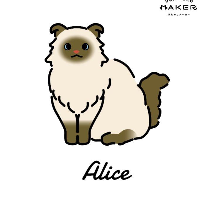 โพสต์ ของ Alice 😼|Lemon8