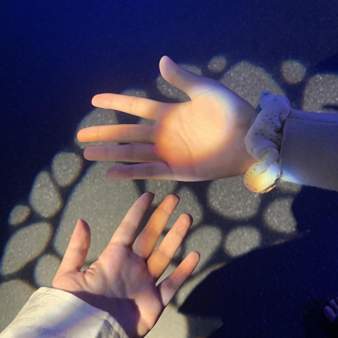 โพสต์ ของ KN|Lemon8