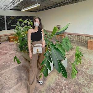 โพสต์ ของ GamGam|Lemon8