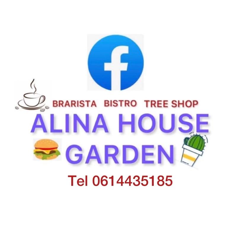 โพสต์ ของ Alina House gar|Lemon8