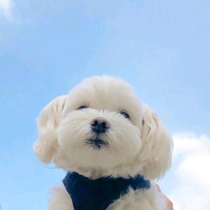 โพสต์ ของ D|Lemon8