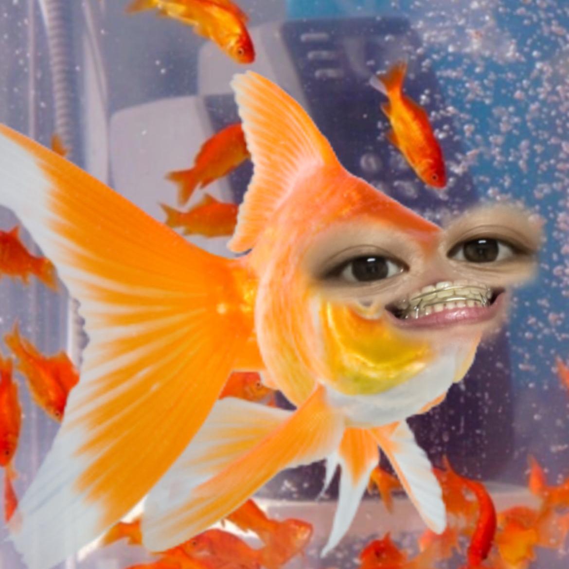 โพสต์ ของ North Naruemon|Lemon8