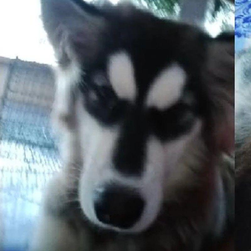 โพสต์ ของ NOOMNIM|Lemon8