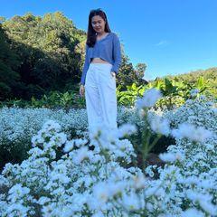 โพสต์ ของ Aof Vbfc|Lemon8