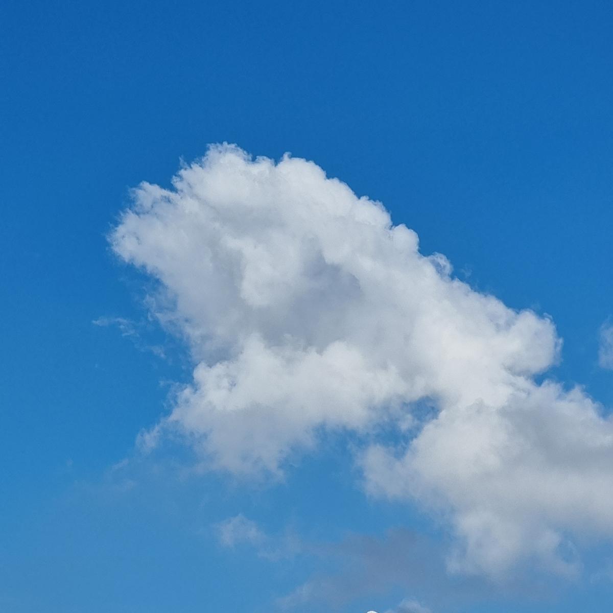 โพสต์ ของ T_Tiny|Lemon8