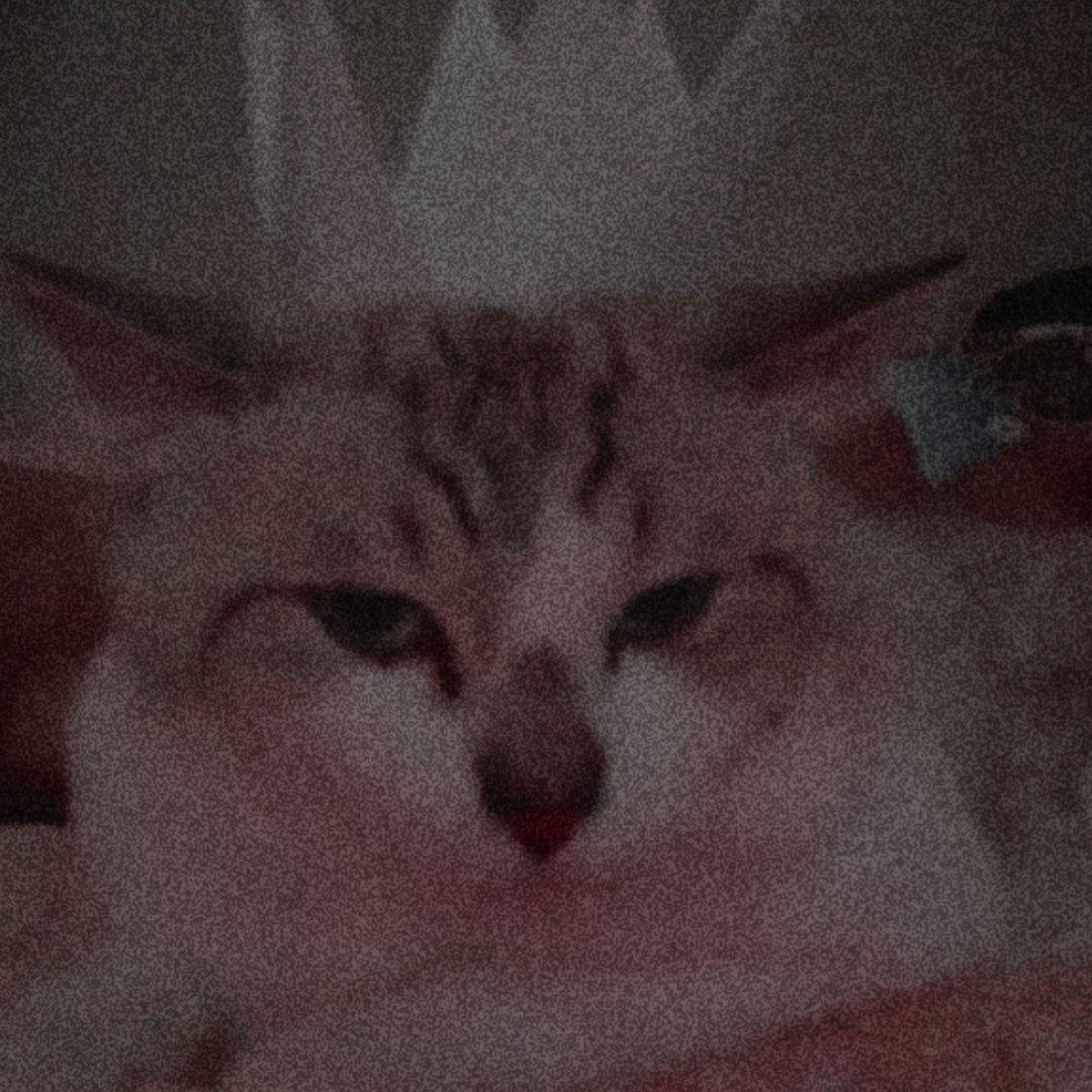 Esther Bella's Post|Lemon8