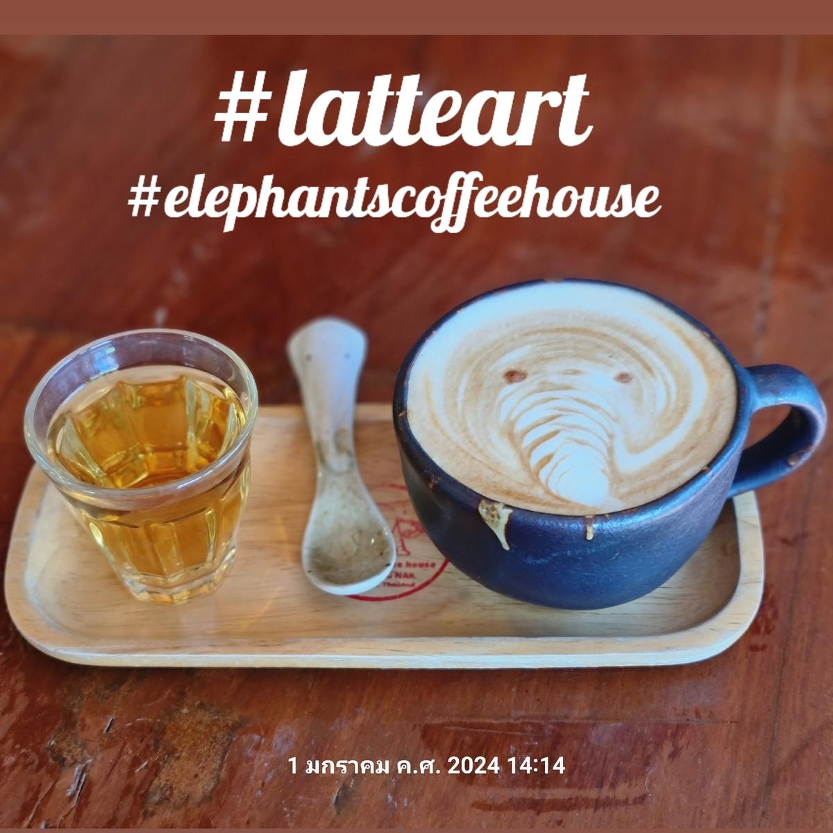 โพสต์ ของ Elephants cafe|Lemon8