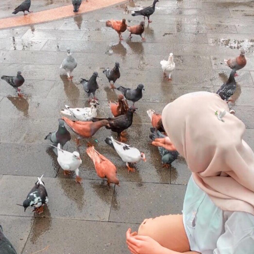 โพสต์ ของ Q|Lemon8