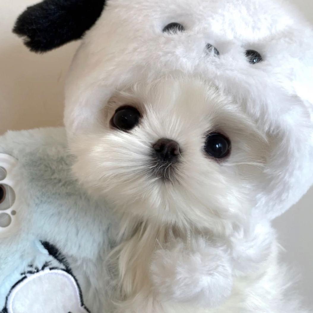 โพสต์ ของ ⁺˚*･༓☾ruby☽🌊|Lemon8