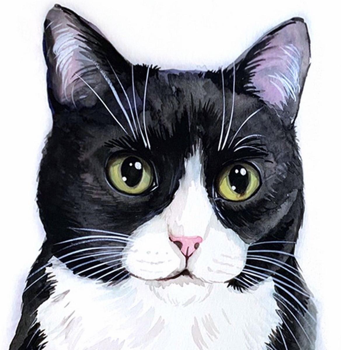 โพสต์ ของ Pha_Wana|Lemon8