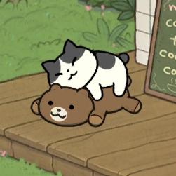 Siarkan cute cat|Lemon8