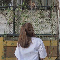 โพสต์ ของ Ticha|Lemon8