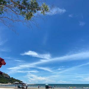 โพสต์ ของ moo noy|Lemon8