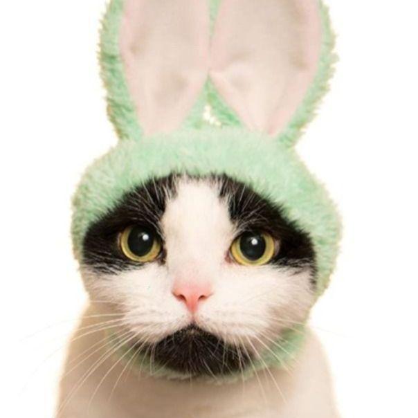 โพสต์ ของ sadaa|Lemon8