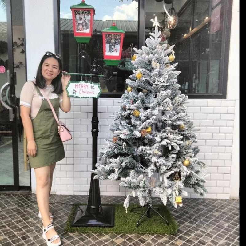 โพสต์ ของ Ploy Suchawadee|Lemon8