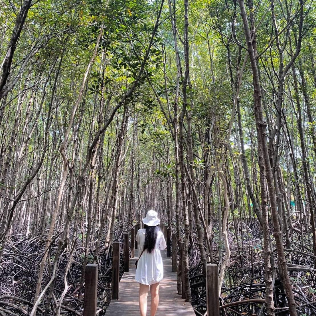 โพสต์ ของ Phinyada Praich|Lemon8