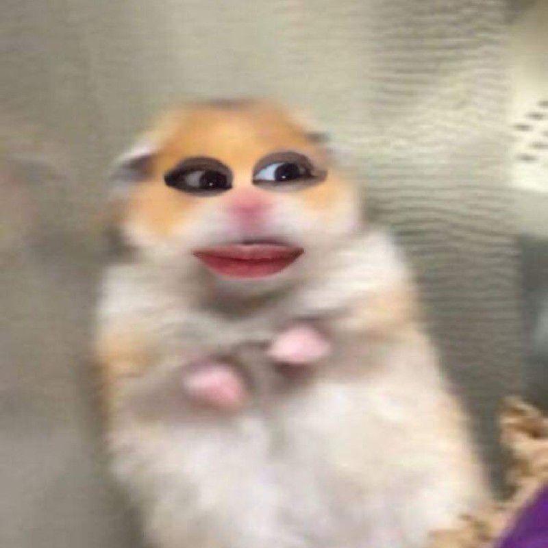 โพสต์ ของ Ratchanee 🌷|Lemon8