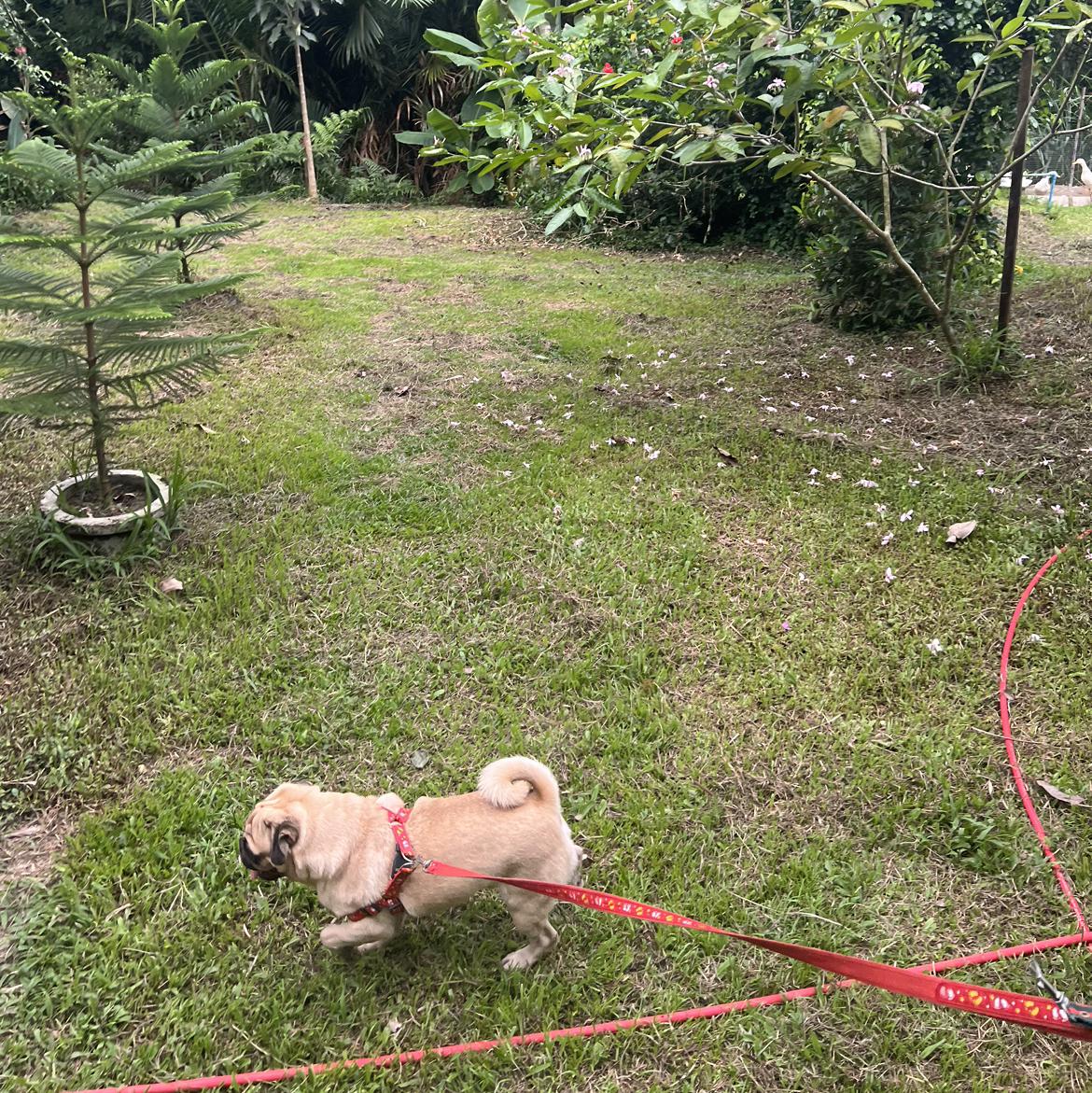 โพสต์ ของ Benz_|Lemon8