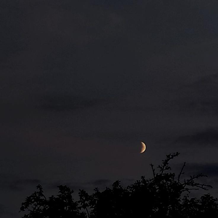 Posting Choco Matte|Lemon8