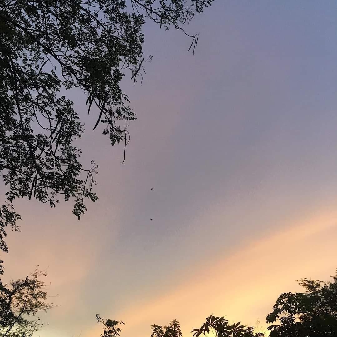 โพสต์ ของ ice|Lemon8