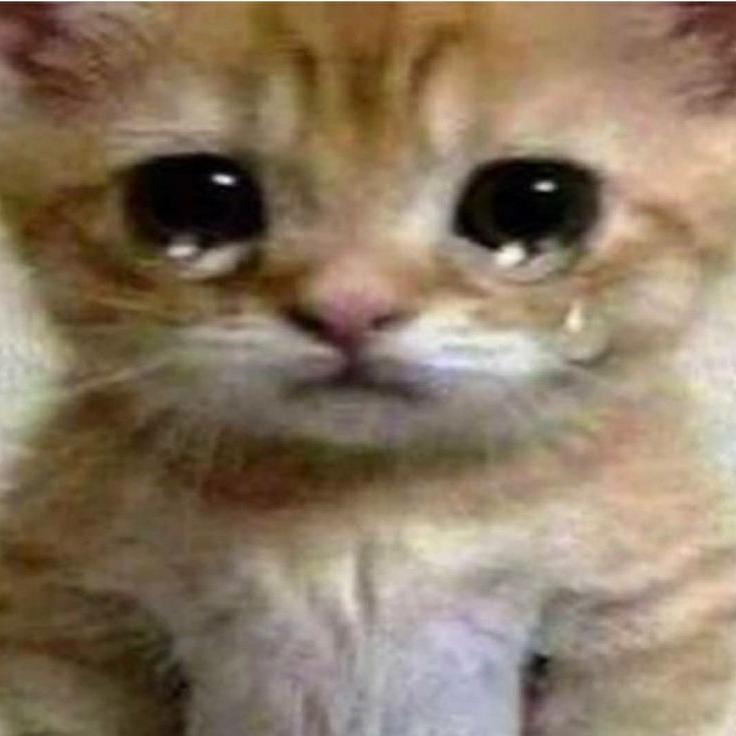 โพสต์ ของ ruby|Lemon8