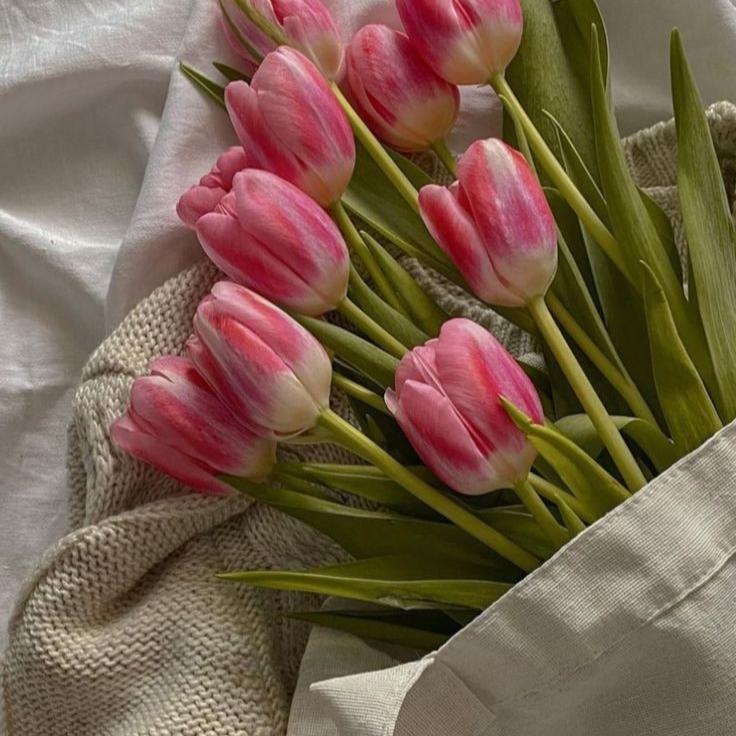 Posting Abcd.⋆｡° 彡|Lemon8