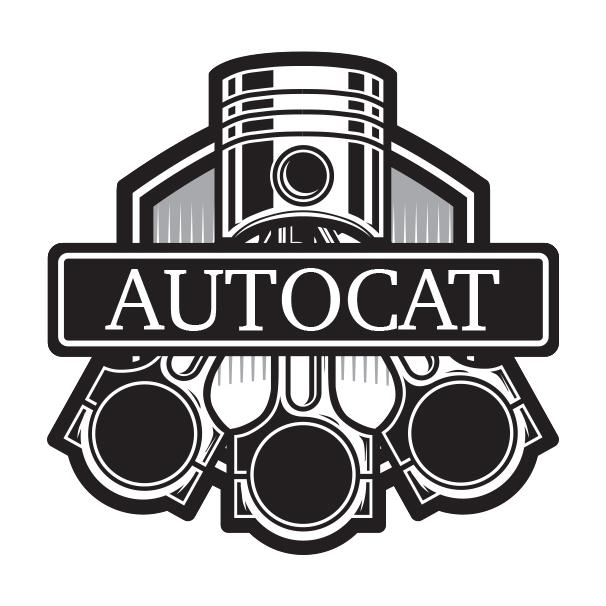โพสต์ ของ AutoCAT |Lemon8