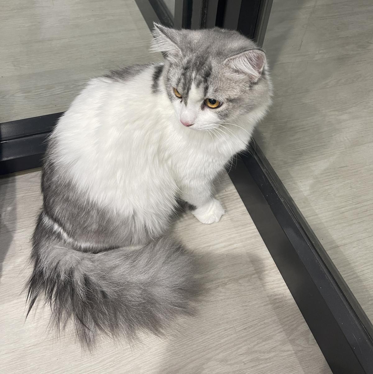 โพสต์ ของ Nicky💕|Lemon8