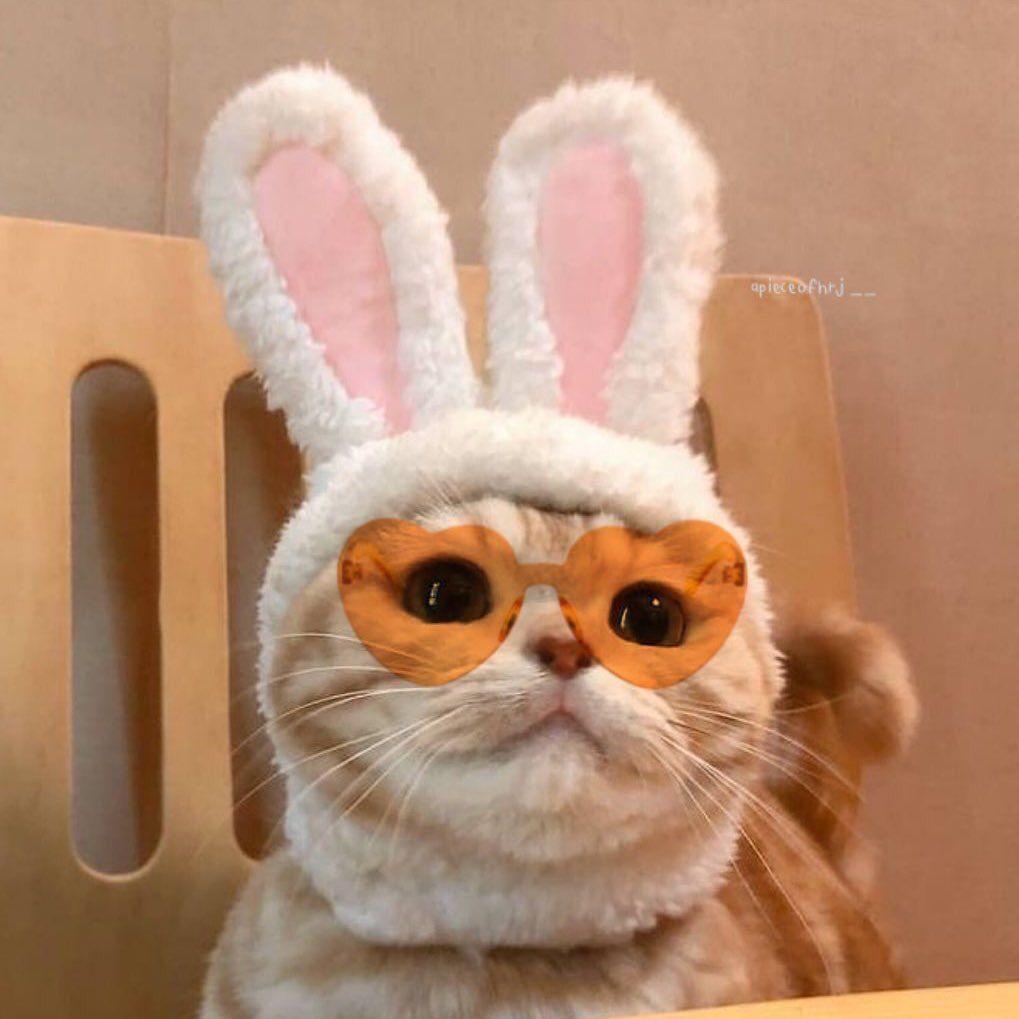 โพสต์ ของ KENG|Lemon8