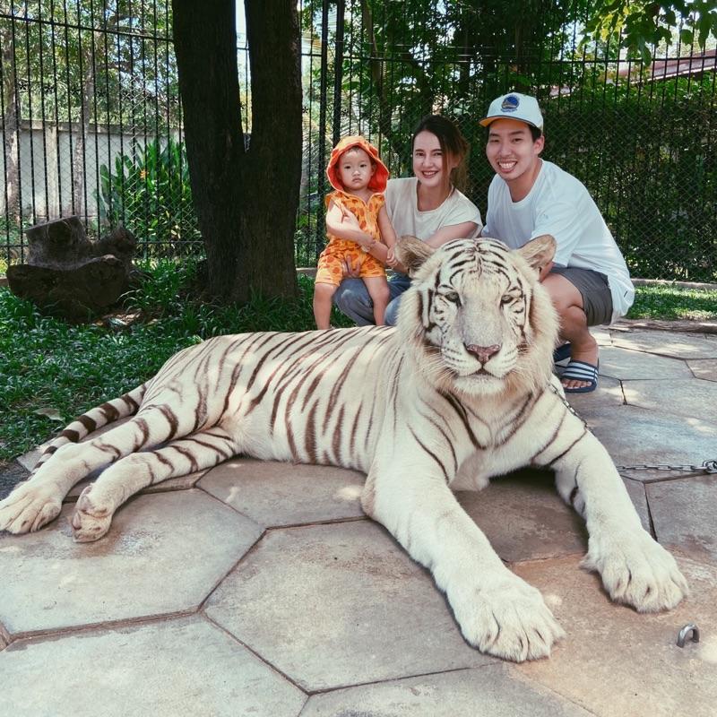 โพสต์ ของ Pangrum|Lemon8