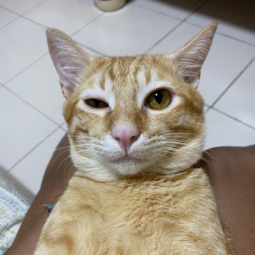 โพสต์ ของ Kamonpan Nopnom|Lemon8