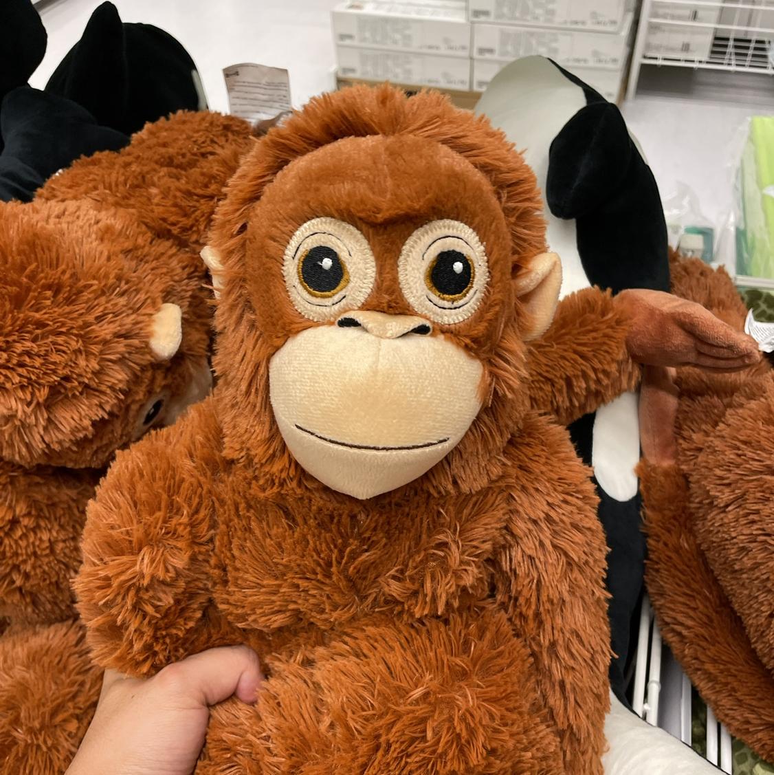 โพสต์ ของ Ben|Lemon8