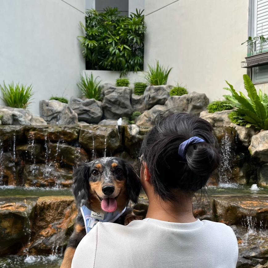 โพสต์ ของ adel and lele|Lemon8