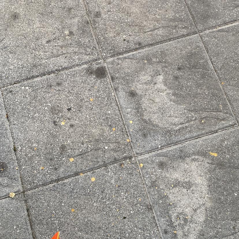 โพสต์ ของ Kjj|Lemon8