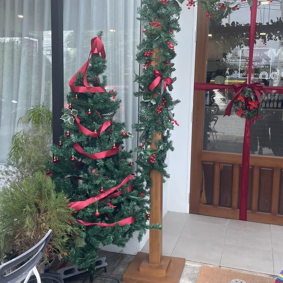 โพสต์ ของ She / her|Lemon8