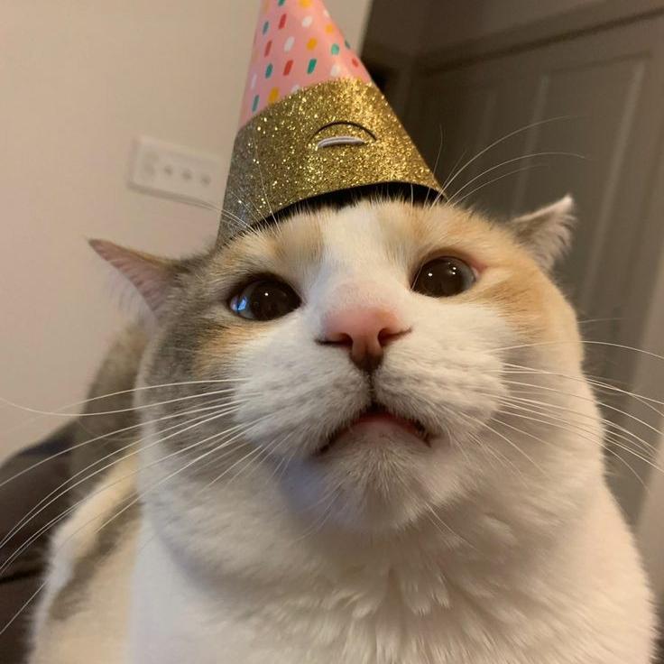 โพสต์ ของ Baimon|Lemon8